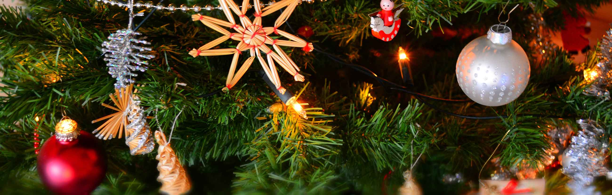 Главная елка в Волгограде 2024—2025: где будет стоять, когда установят ...